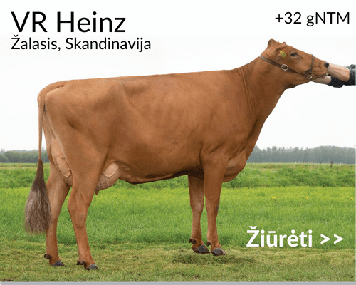 UAB Gameta. Gyvuliu seklinimas. Karviu seklinimas. Pieno ukis | Gameta.lt